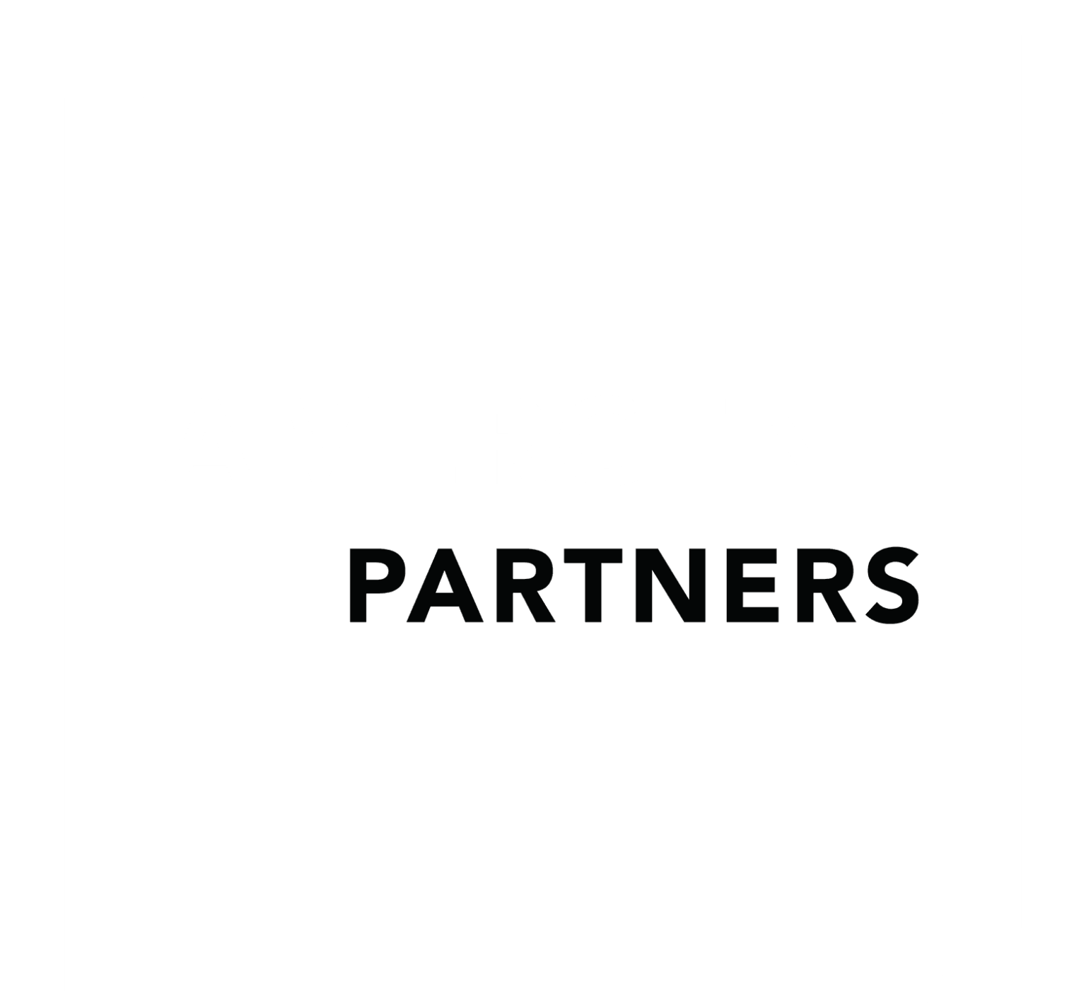 Información Corporativa - Amergent Partners